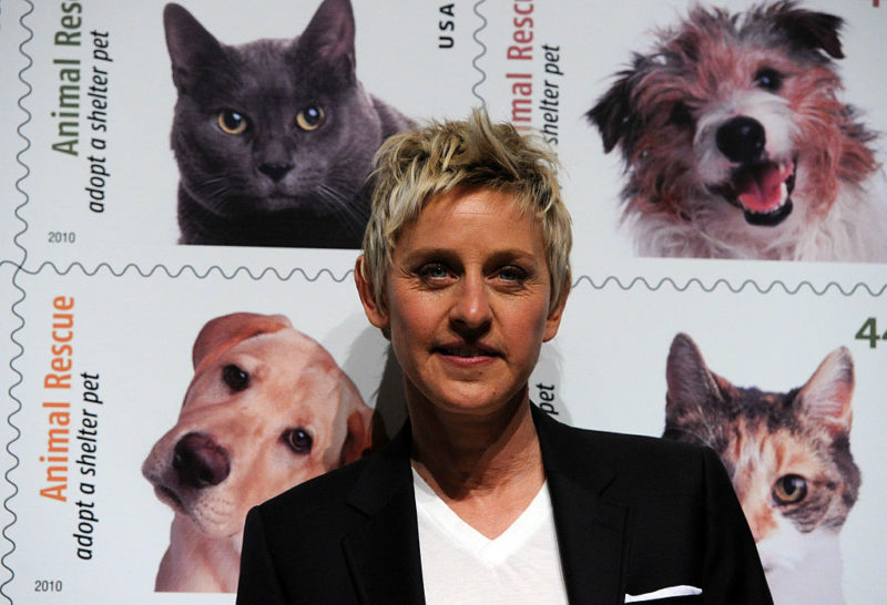 Here Are Hollywood's Most Passionate Celebrity Animal Activists - Pet ...